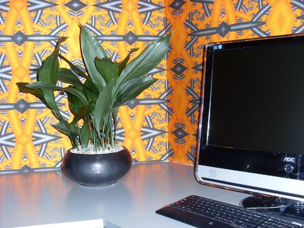 Desktop Planters - Perfection Plant Hire